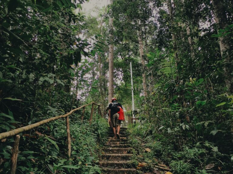 Mount Abang Jungle Trek: Discover Bali's Hidden Paradise